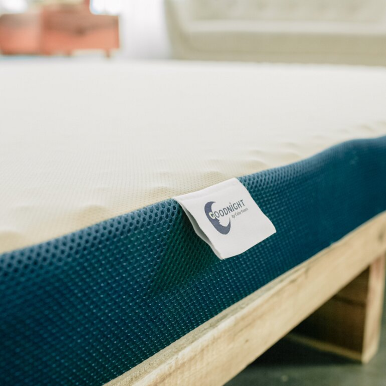 Đánh Giá đệm Massage Nhật Bản Goodnight By Color Foam Websosanhvn