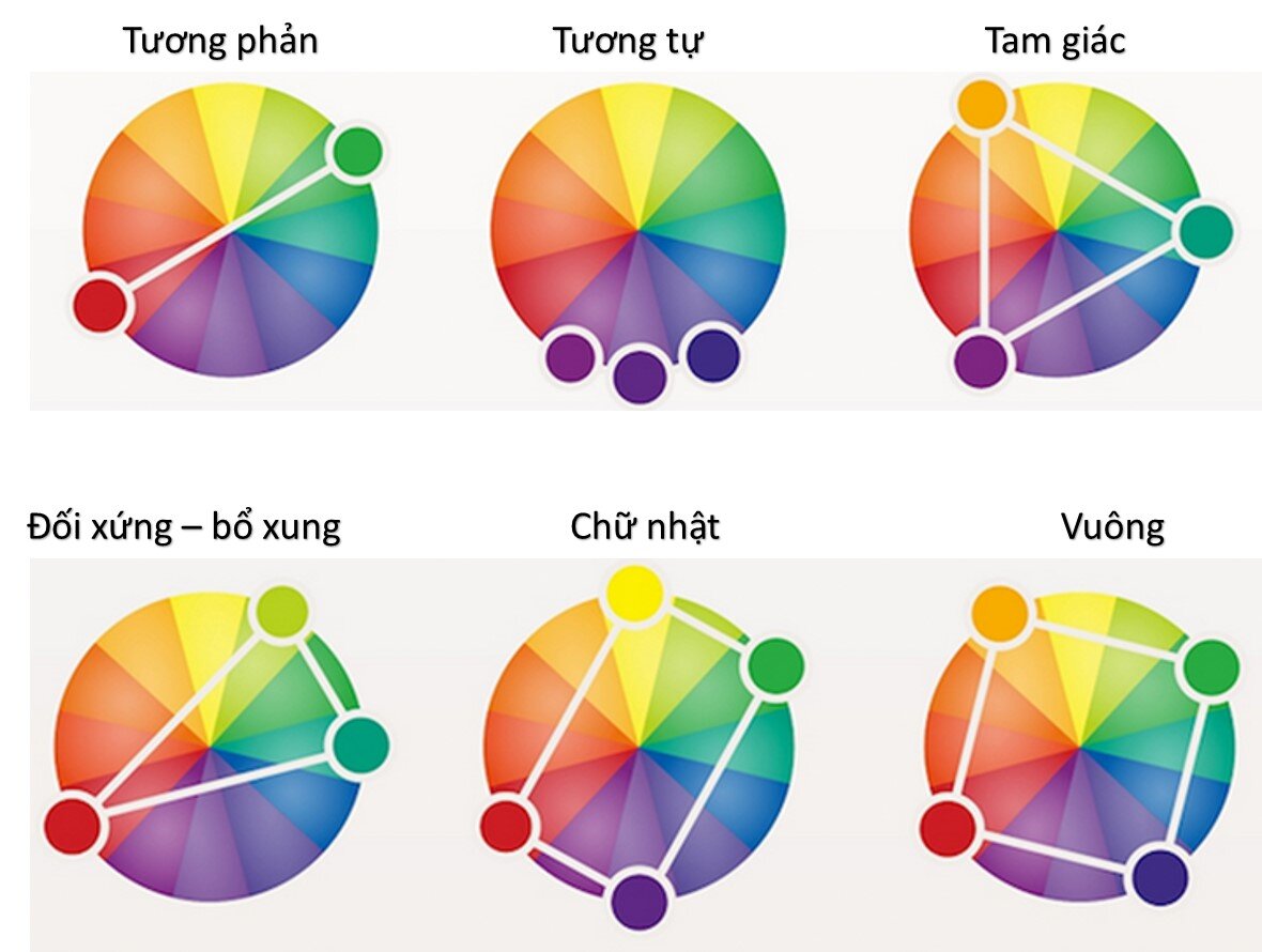 5 Quy Tắc Lựa Chọn Màu Sắc Trong Thời Trang Websosanhvn