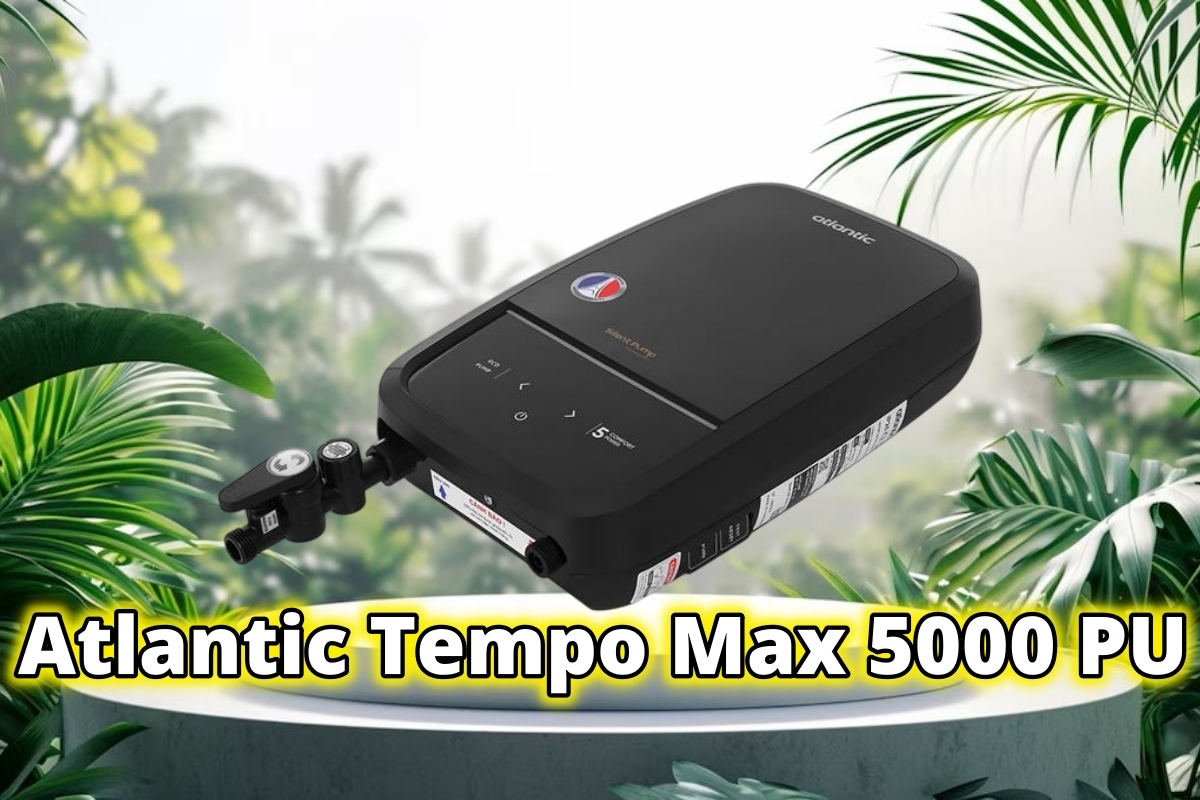 Đánh giá Atlantic Tempo Max 5000 PU – Chất lượng liệu có tương xứng giá ...