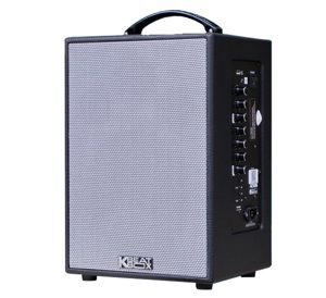 Loa Acnos CS121 nơi bán chính hãng giá rẻ nhất