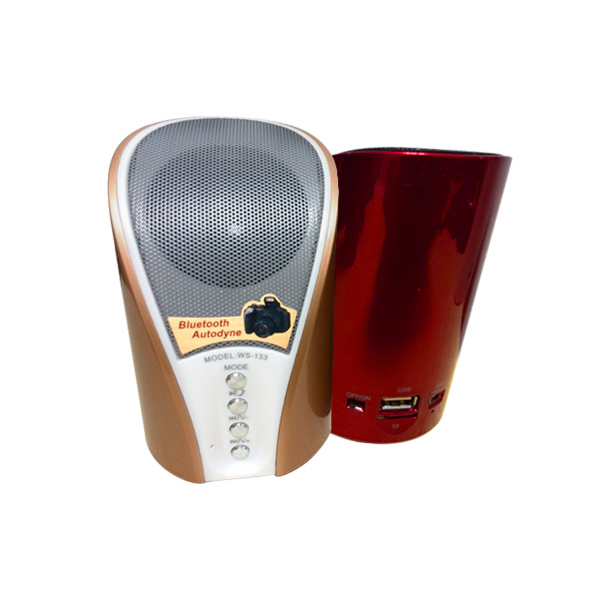 Loa bluetooth WS-133 nơi bán chính hãng giá rẻ nhất