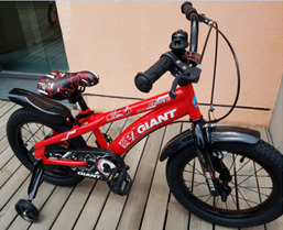 Xe đạp trẻ em Giant Darb 160 nơi bán chính hãng giá rẻ nhất