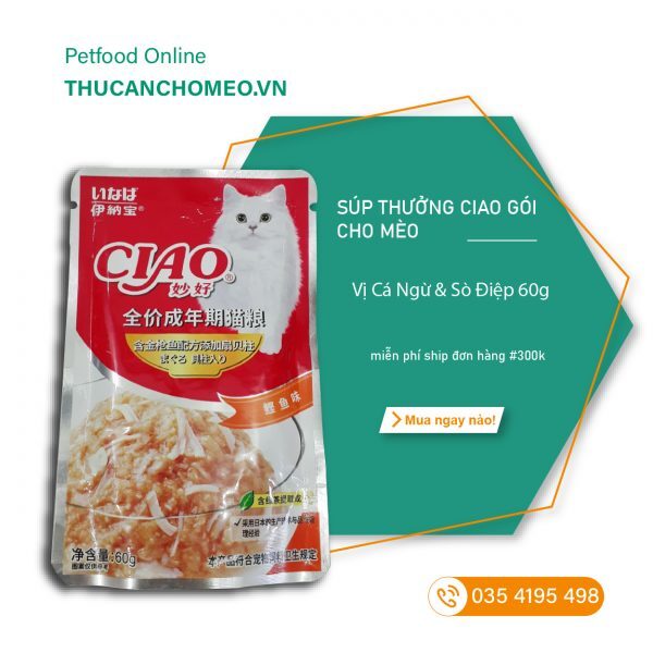 Nơi bán Pate Ciao vị cá ngừ và sò điệp cho mèo gói 60g chính hãng giá rẻ nhất